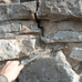 Type O Historic Brick & Stone Lime-Based Mortar – ProMason Supply